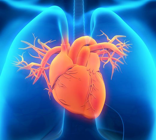 Test Post – Solutions 4 Health